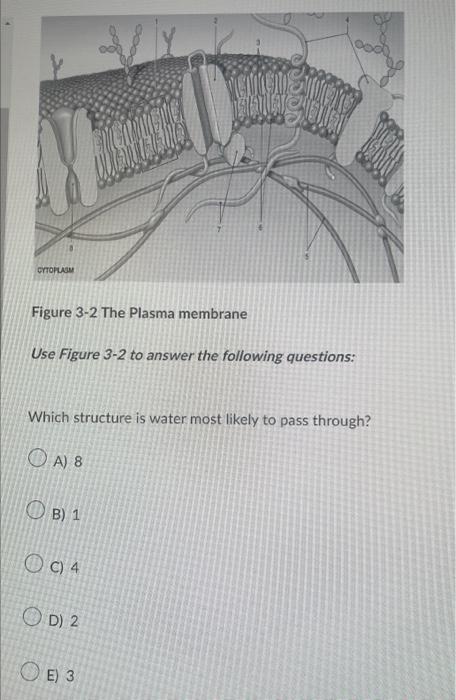 Solved Use Figure 3-2 to answer the following questions: | Chegg.com