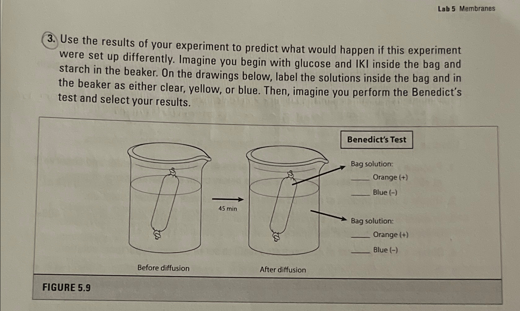 Solved Lab 5 ﻿Membranes3. ﻿Use the results of your | Chegg.com