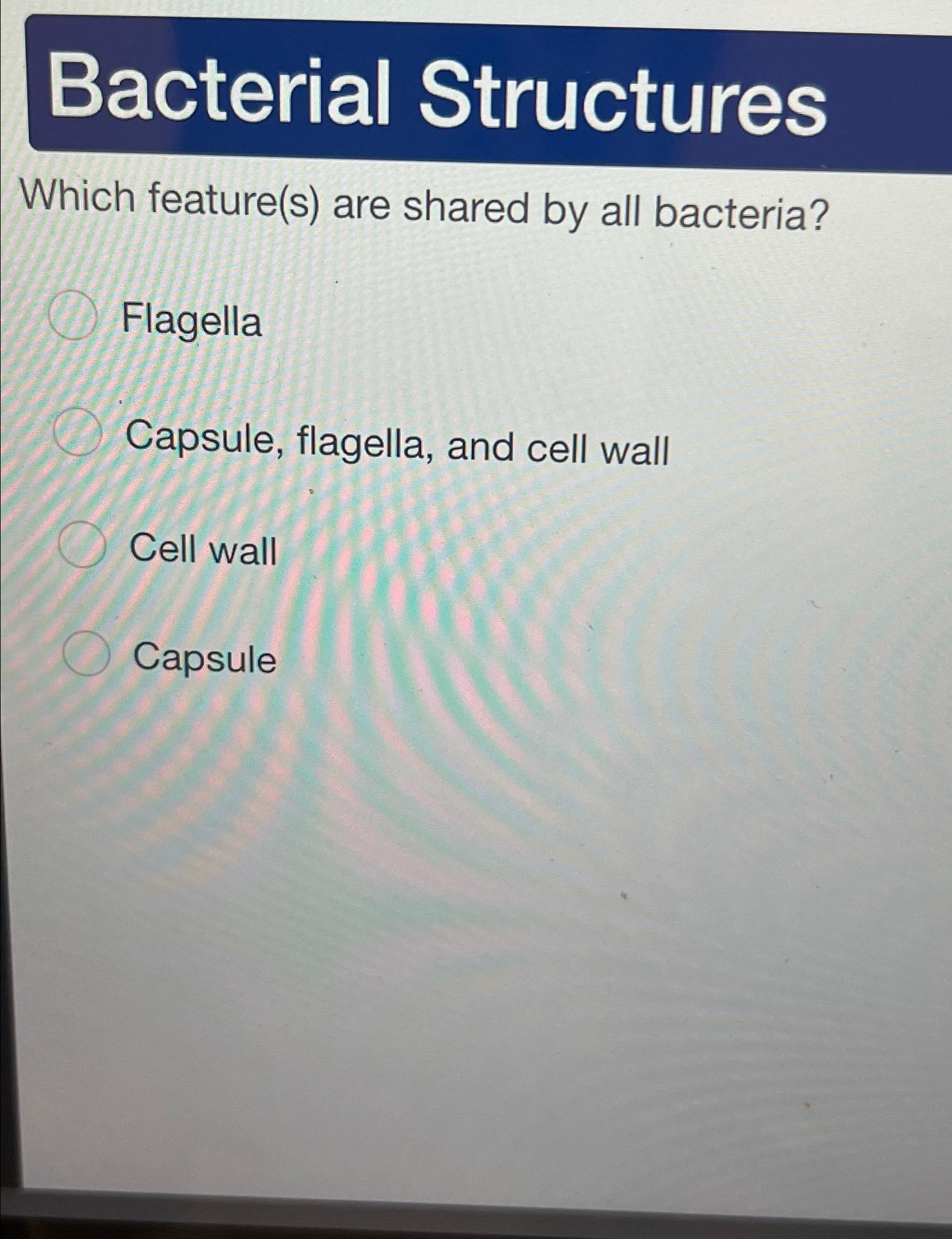 Solved Bacterial StructuresWhich feature(s) ﻿are shared by | Chegg.com