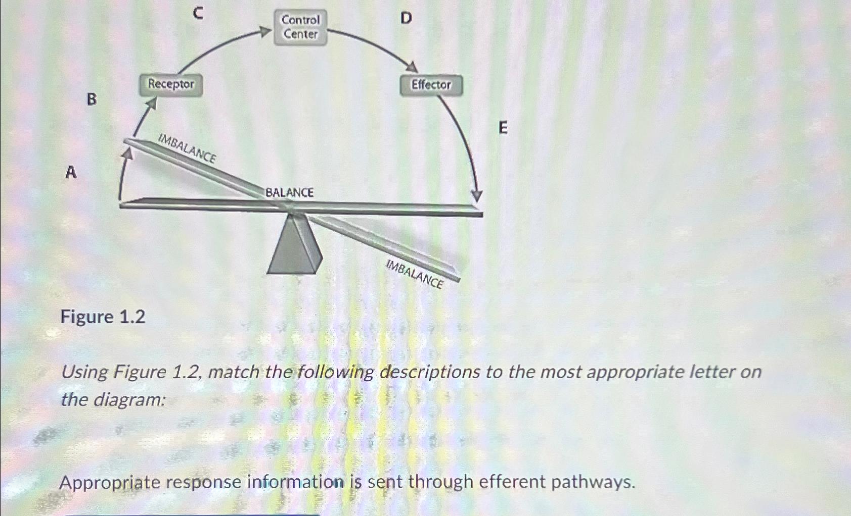 Solved AFigure 1.2Using Figure 1.2, ﻿match the following | Chegg.com