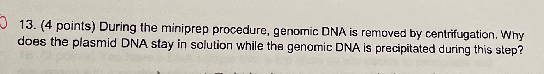 Solved (4 ﻿points) ﻿During the miniprep procedure, genomic | Chegg.com