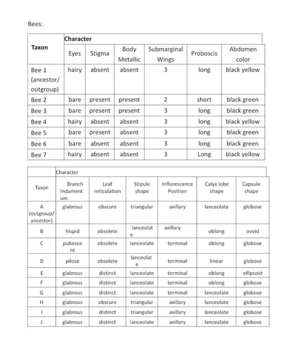 Solved 1) Make a character matrix for each table.2) Create a | Chegg.com