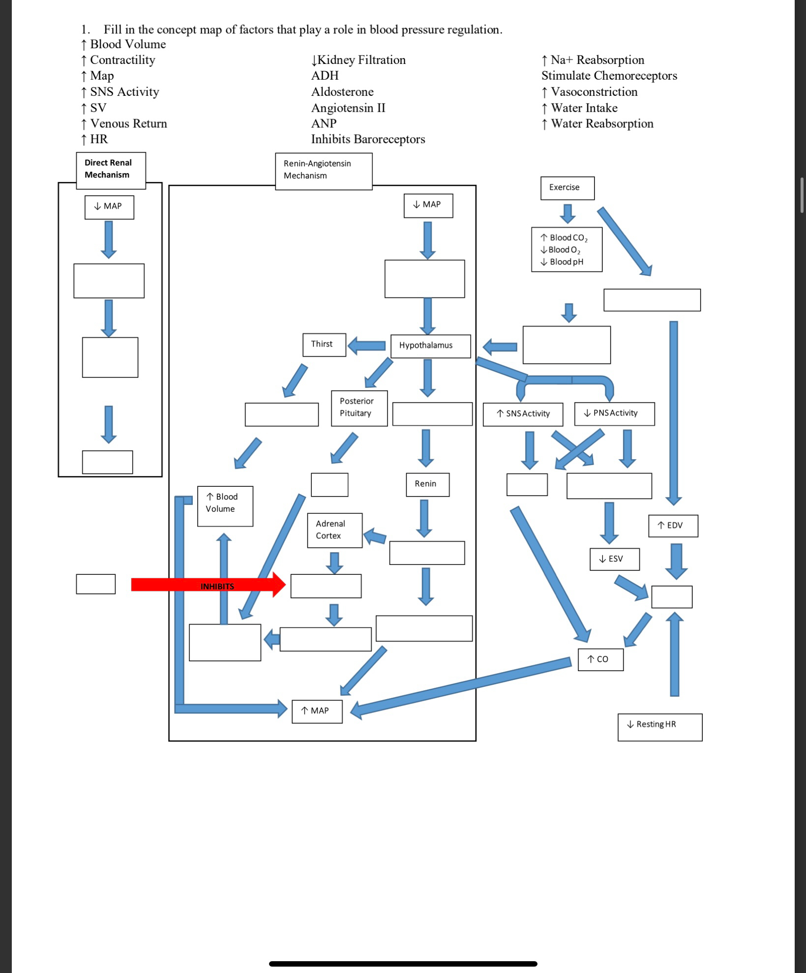Solved Fill in the concept map of factors that play a role | Chegg.com