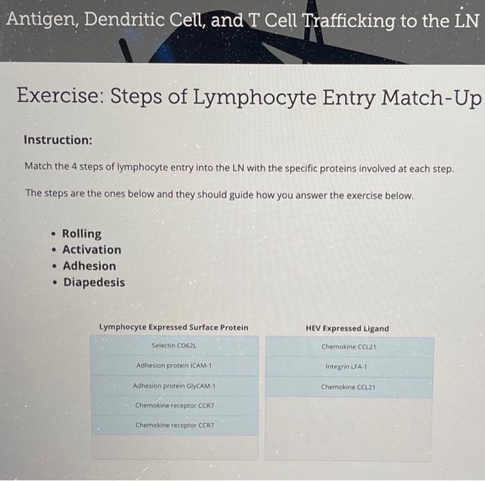 Solved Antigen, Dendritic Cell, and T Cell Trafficking to | Chegg.com