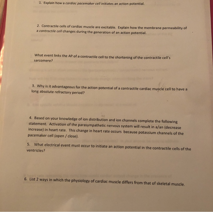 Solved 1. Explain how a cardiac pacemaker cell initiates an | Chegg.com