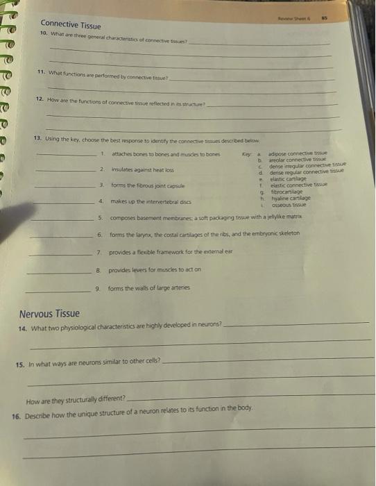 Solved REVIEW SHEET EXERCISE Classification of Tissues 6. | Chegg.com