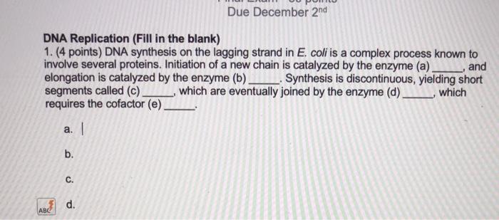 Solved Due December 2nd DNA Replication (Fill in the blank) | Chegg.com