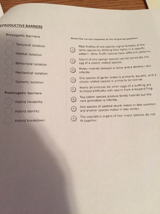 Solved Evolution Worksheet 1. Explain what "Fitness" means | Chegg.com