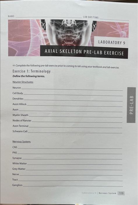 Solved NAME LAB DAYTIME LABORATORY 9 AXIAL SKELETON PRE-LAB | Chegg.com