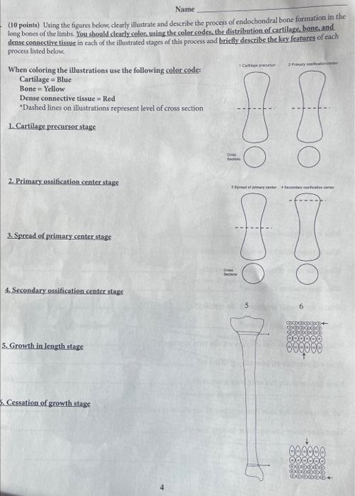 Solved Name 4. (10 points) Using the figures brlonk clearly | Chegg.com