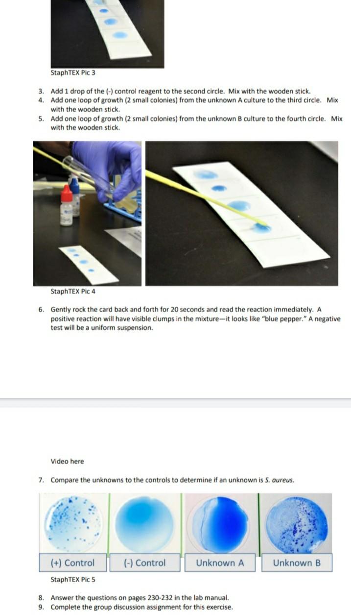 Solved Please answer the following questions below from | Chegg.com