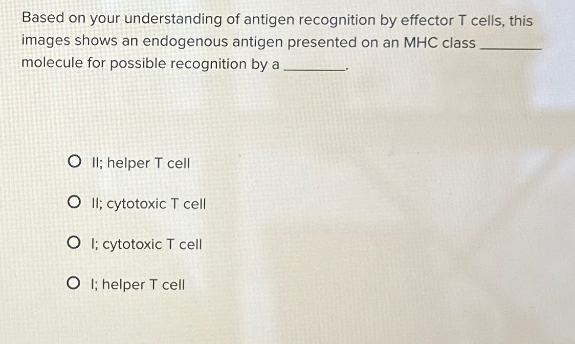Solved Based on your understanding of antigen recognition by | Chegg.com