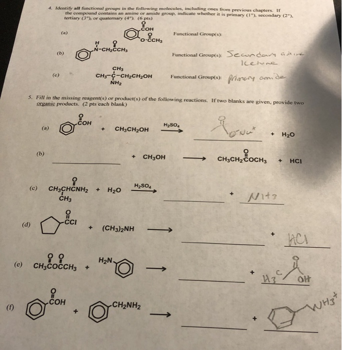 Solved 4, Identify all functional groups in the following | Chegg.com