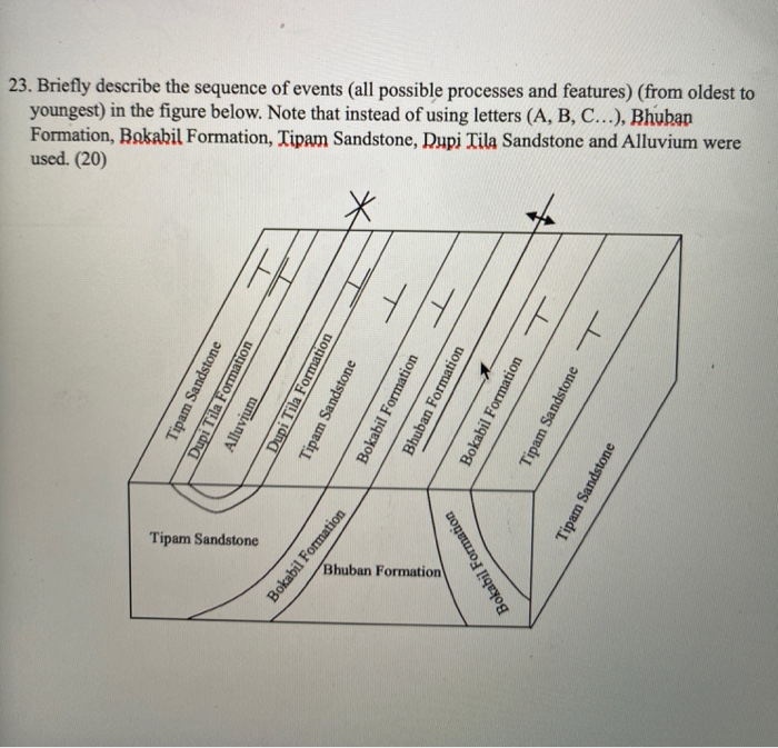 Solved 23. Briefly describe the sequence of events (all | Chegg.com