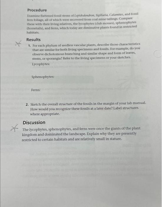 Solved Procedure: Examine flattened fossil stems of | Chegg.com