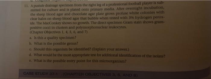 Solved 11. A pustule drainage specimen from the right leg of | Chegg.com