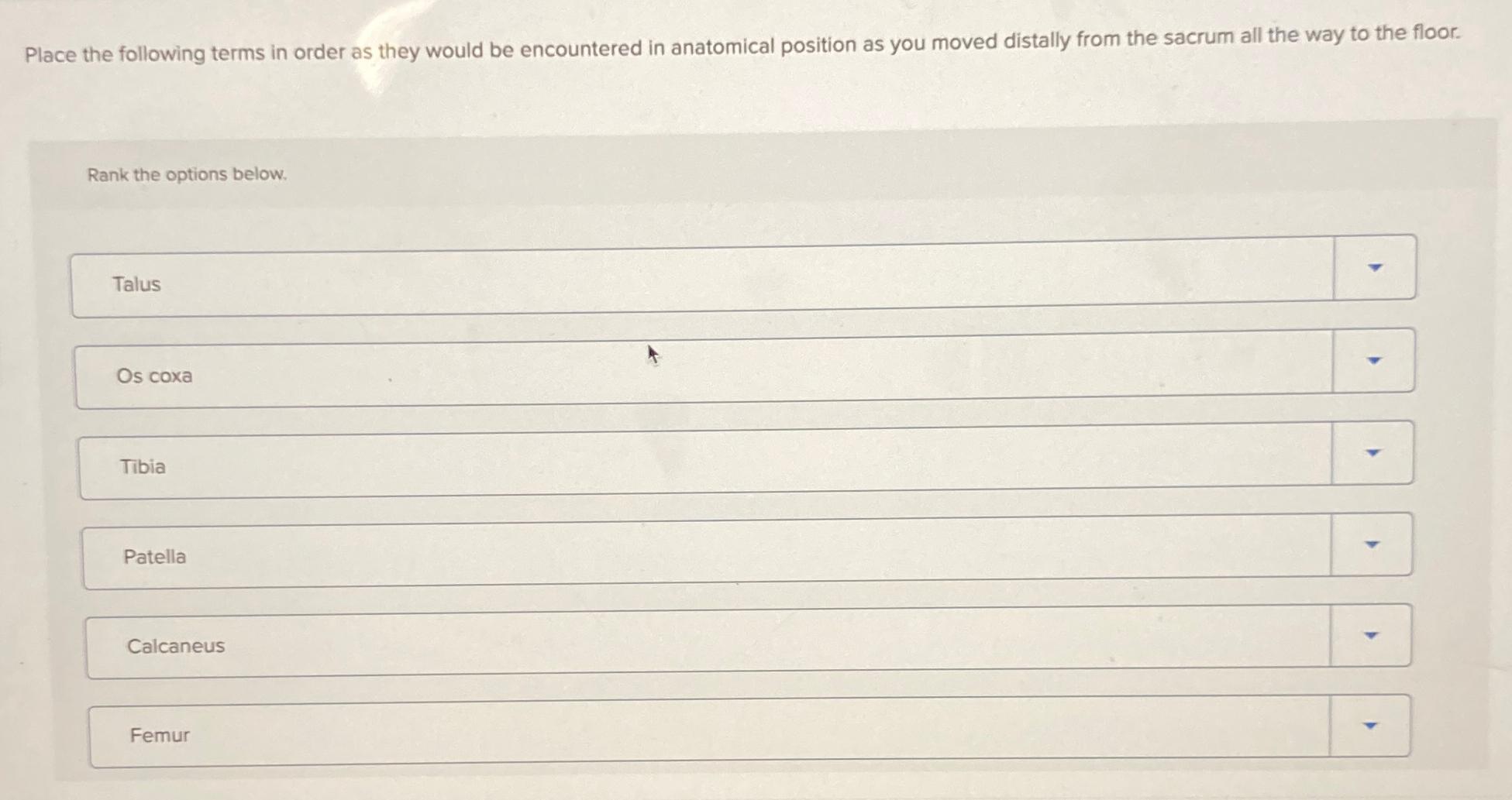 Solved Place the following terms in order as they would be | Chegg.com
