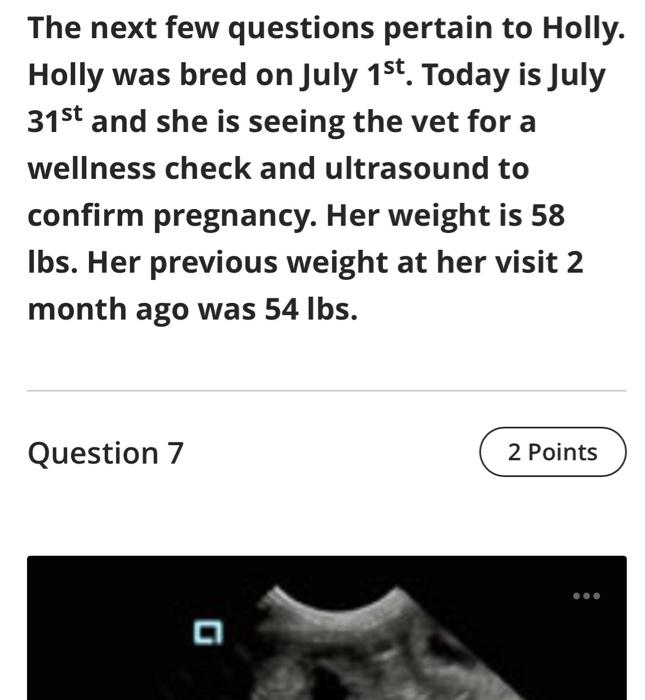 Black Bred Pregnant