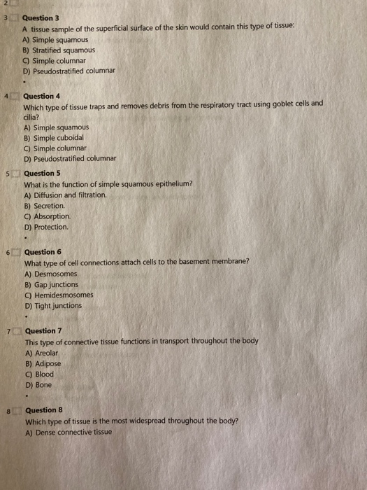 Solved 3 Question 3 A tissue sample of the superficial | Chegg.com