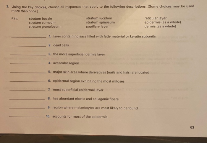 Solved 3. Using the key choices, choose all responses that | Chegg.com