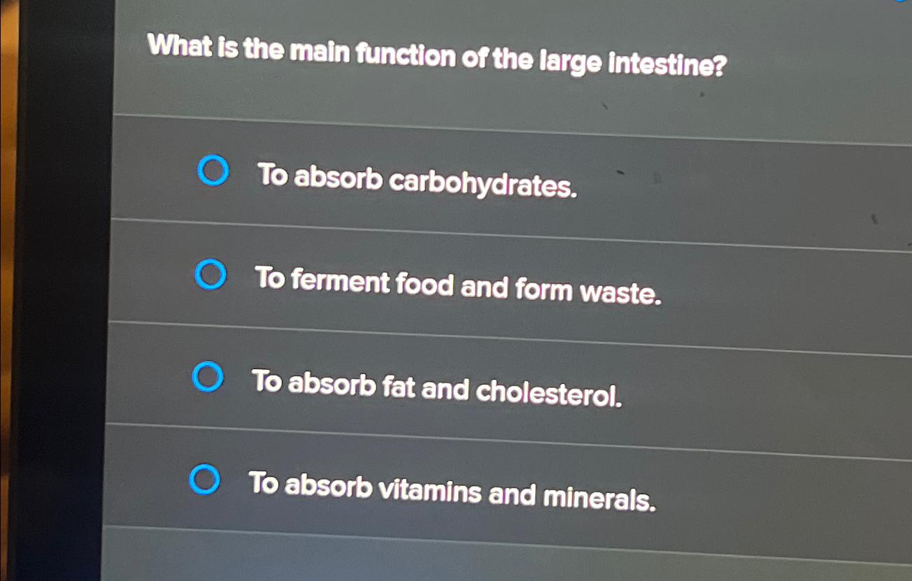 Solved What is the main function of the large intestine?To | Chegg.com