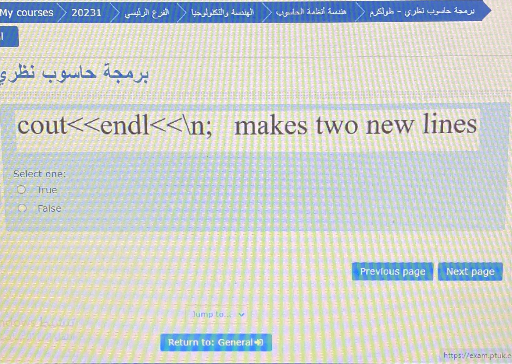 Solved برمجة حاسوب نظريcout