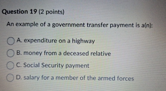 Solved Question 19 (2 ﻿points)An example of a government | Chegg.com