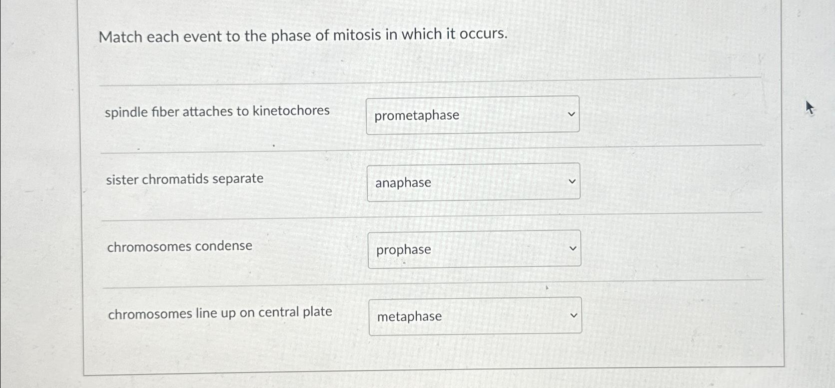 Solved Match each event to the phase of mitosis in which it | Chegg.com