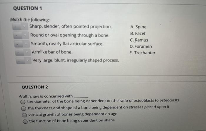 Solved QUESTION 1 Match the following: Sharp, slender, often | Chegg.com