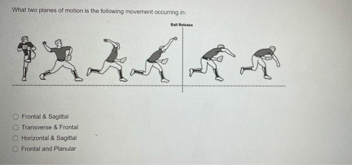 Solved What two planes of motion is the following movement | Chegg.com