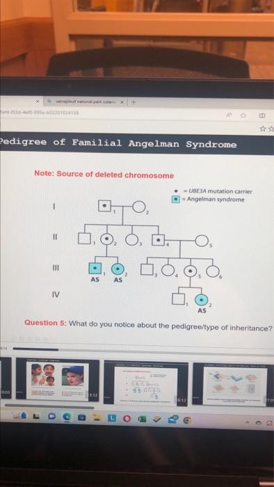 Solved Note: Source of deleted chromosome Question 5: What | Chegg.com