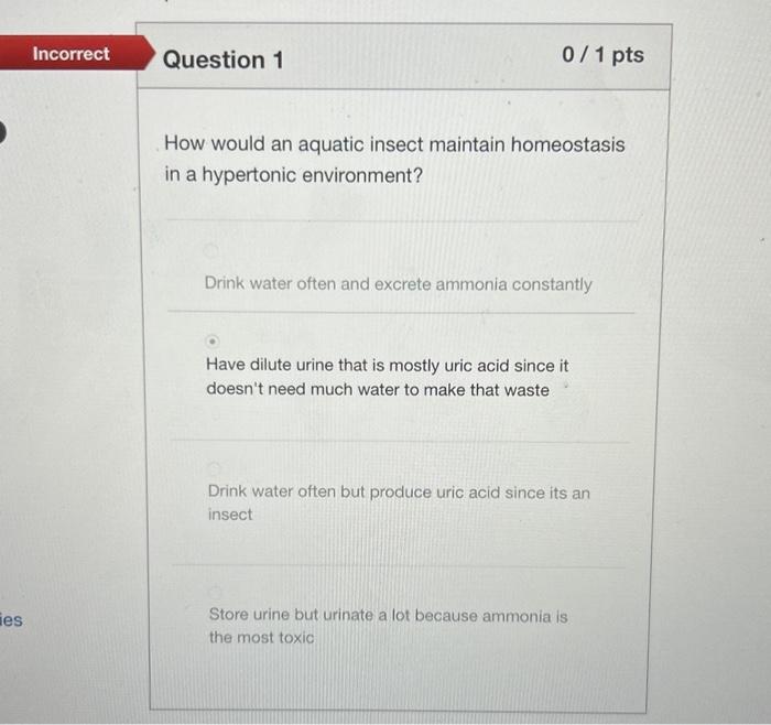 Solved How would an aquatic insect maintain homeostasis in a | Chegg.com