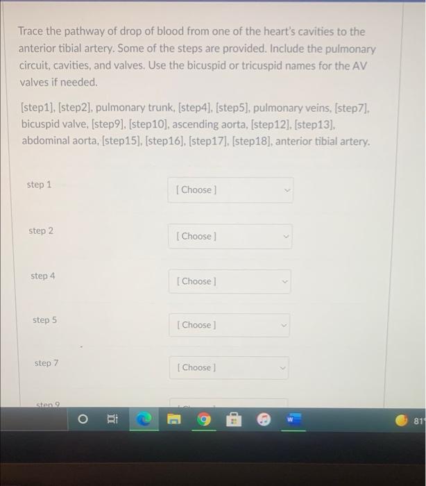 Solved Trace the pathway of drop of blood from one of the | Chegg.com