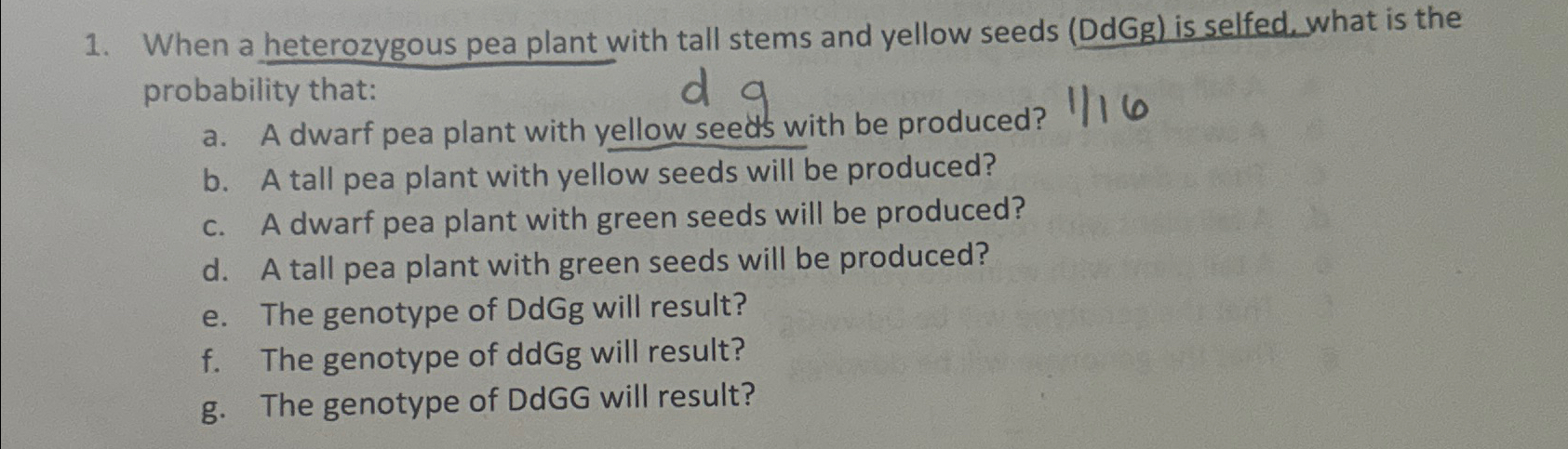 Solved When a heterozygous pea plant with tall stems and | Chegg.com