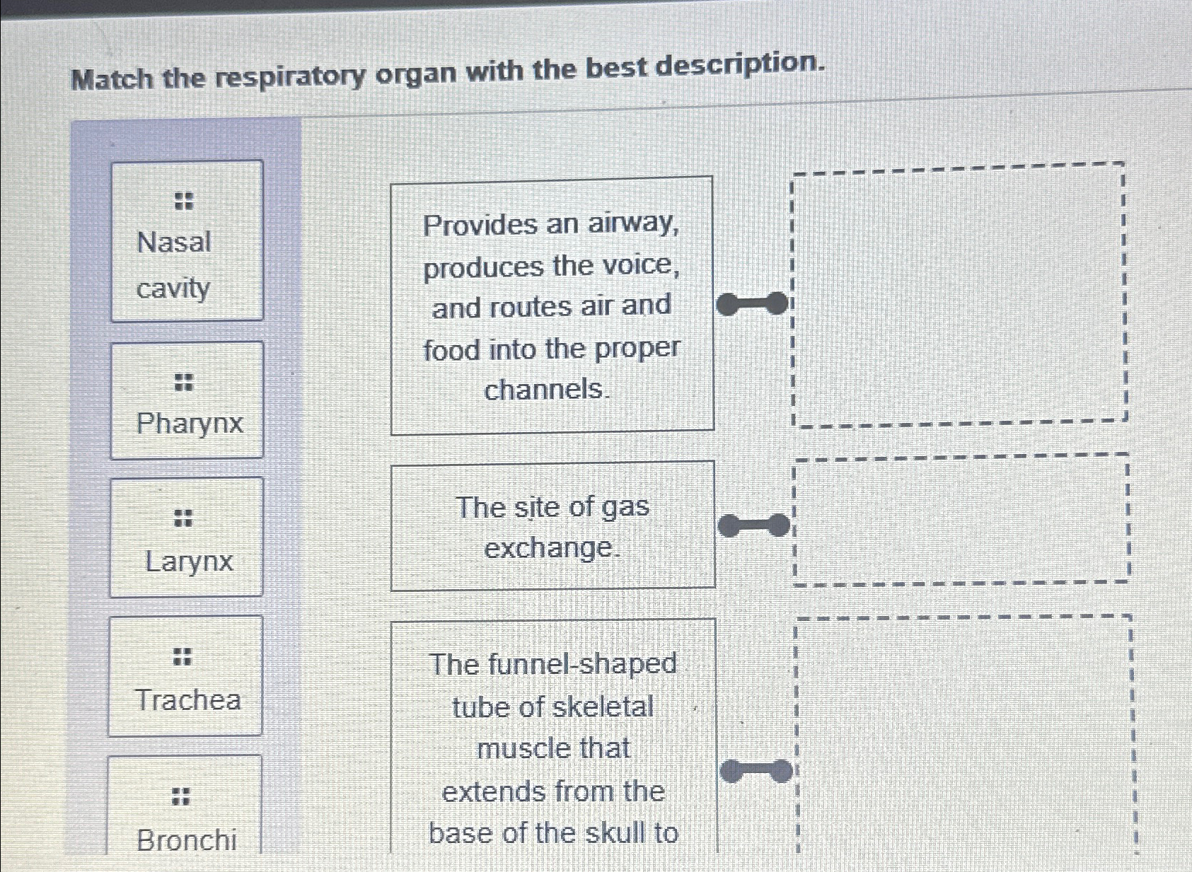 Solved Match the respiratory organ with the best | Chegg.com