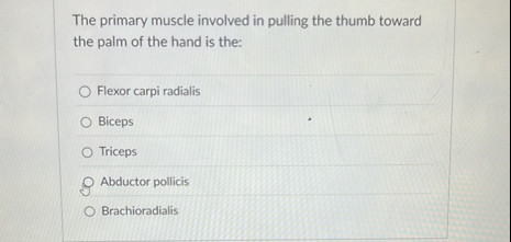 Solved The primary muscle involved in pulling the thumb | Chegg.com