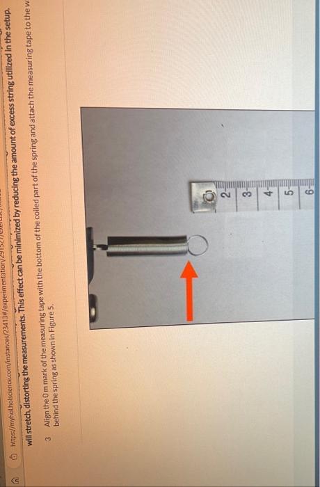 In this exerclse you will measure the spring constant | Chegg.com