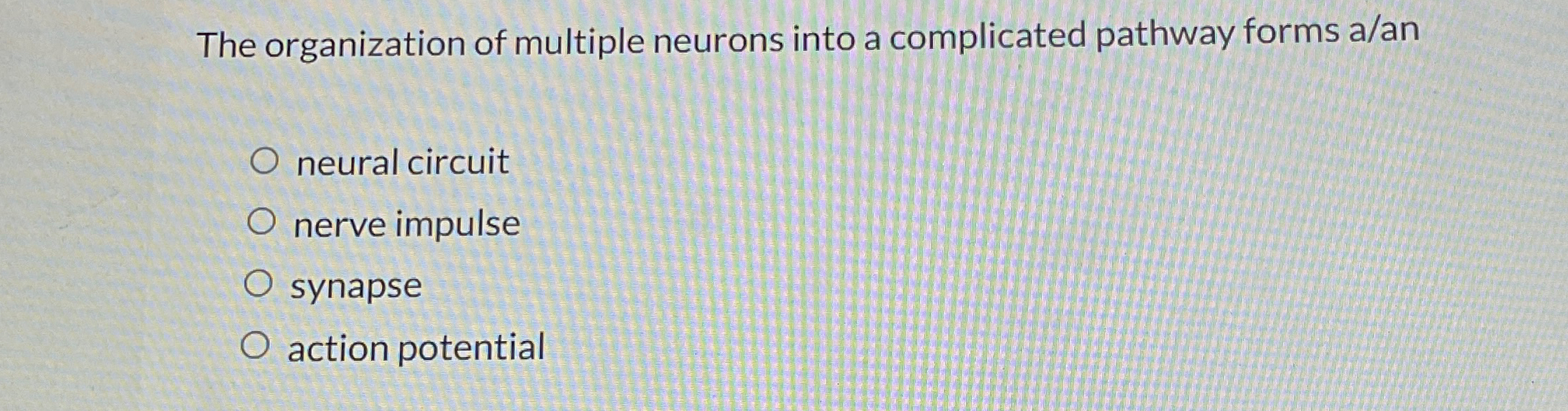 Solved The organization of multiple neurons into a | Chegg.com