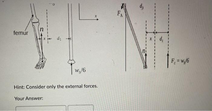 Solved Hint: Consider only the external forces. Your | Chegg.com