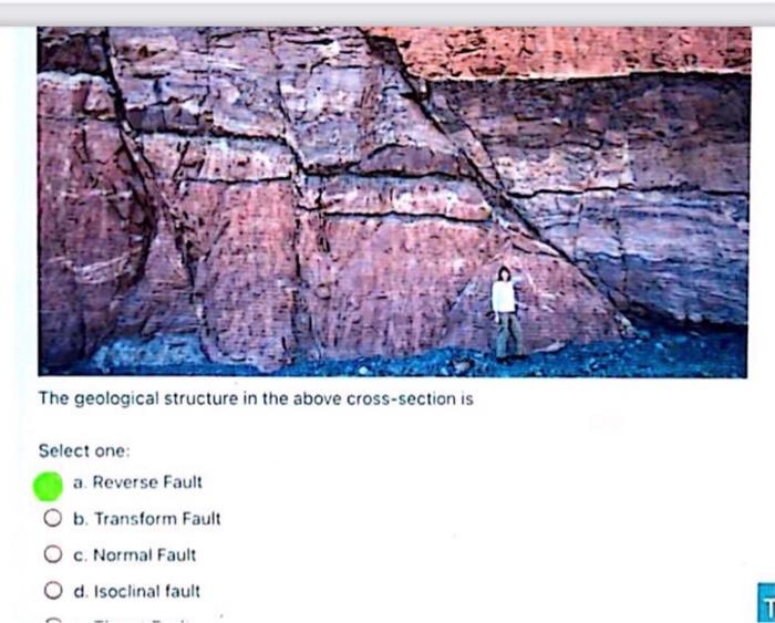 Solved The geological structure in the above cross-section | Chegg.com