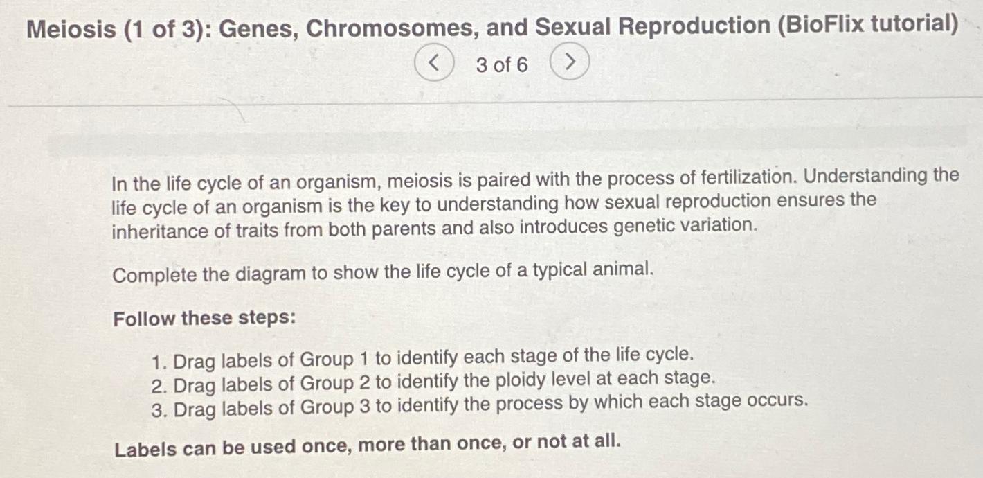 Solved Meiosis 1 ﻿of 3 Genes Chromosomes And Sexual
