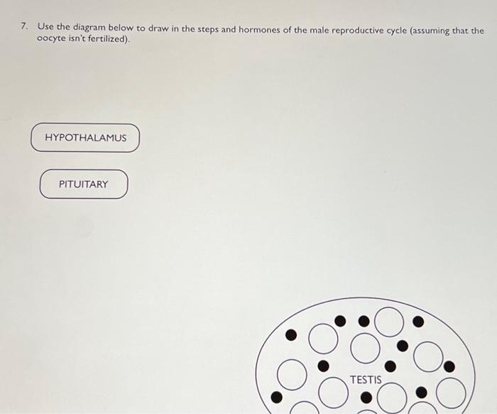 Solved 7. Use the diagram below to draw in the steps and | Chegg.com