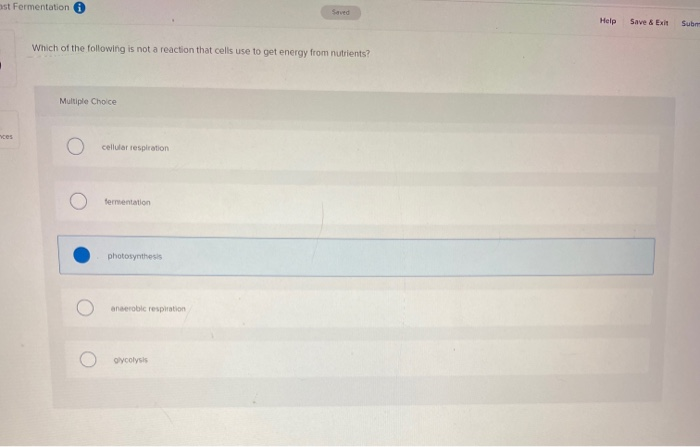 Solved st Fermentation Saved Help Save & Exit Sub Which of | Chegg.com