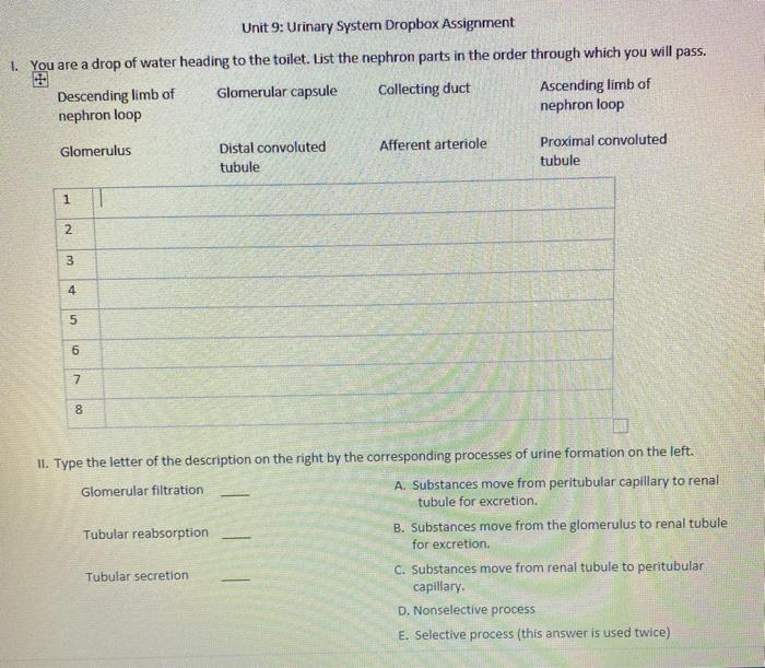 Solved Unit 9: Urinary System Dropbox Assignment 1. You are | Chegg.com