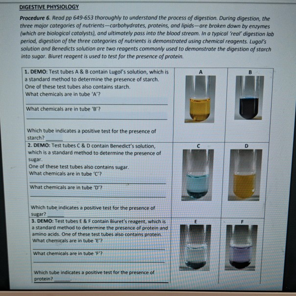 Solved DIGESTIVE PHYSIOLOGY Procedure 6. Read pp 649-653 | Chegg.com