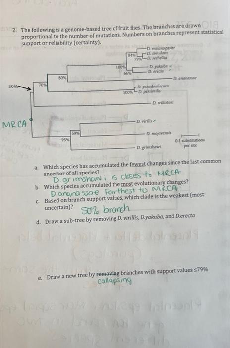 2. The following is a genome-based tree of fruit | Chegg.com