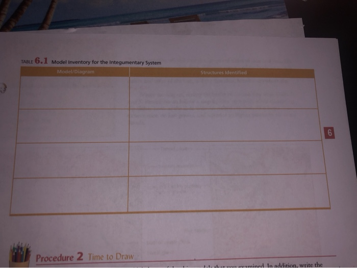 Epider Dom Phelor POUR 6.5 Accessory structures of | Chegg.com