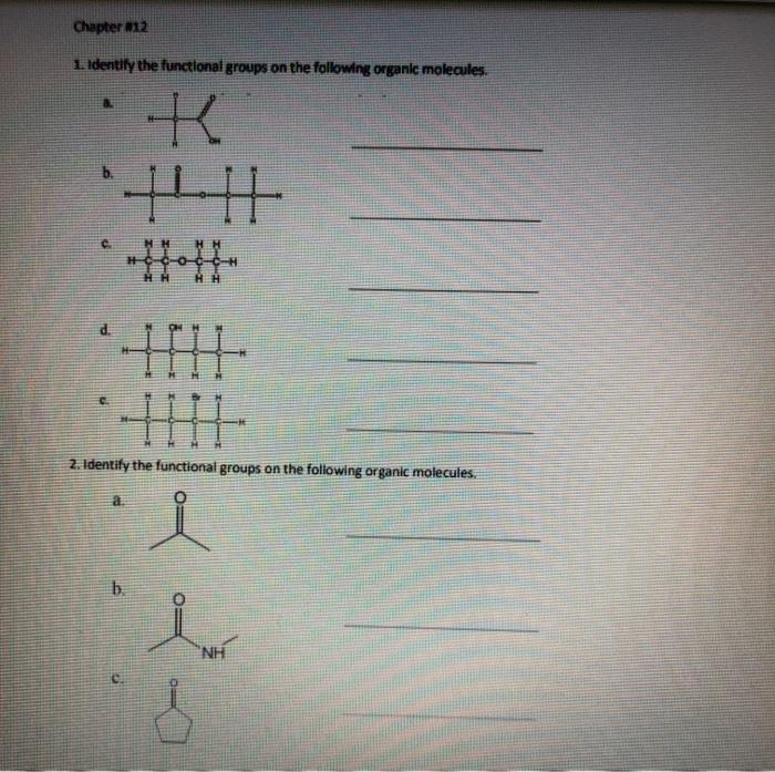 Solved Chapter 12 1. Identify the functional groups on the | Chegg.com