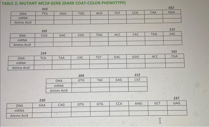 Solved 8. Of the five mutations you identified in the mutant | Chegg.com