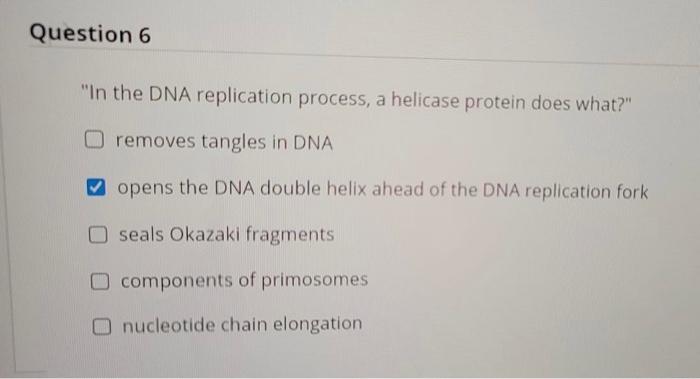 Solved "In the DNA replication process, a helicase protein | Chegg.com